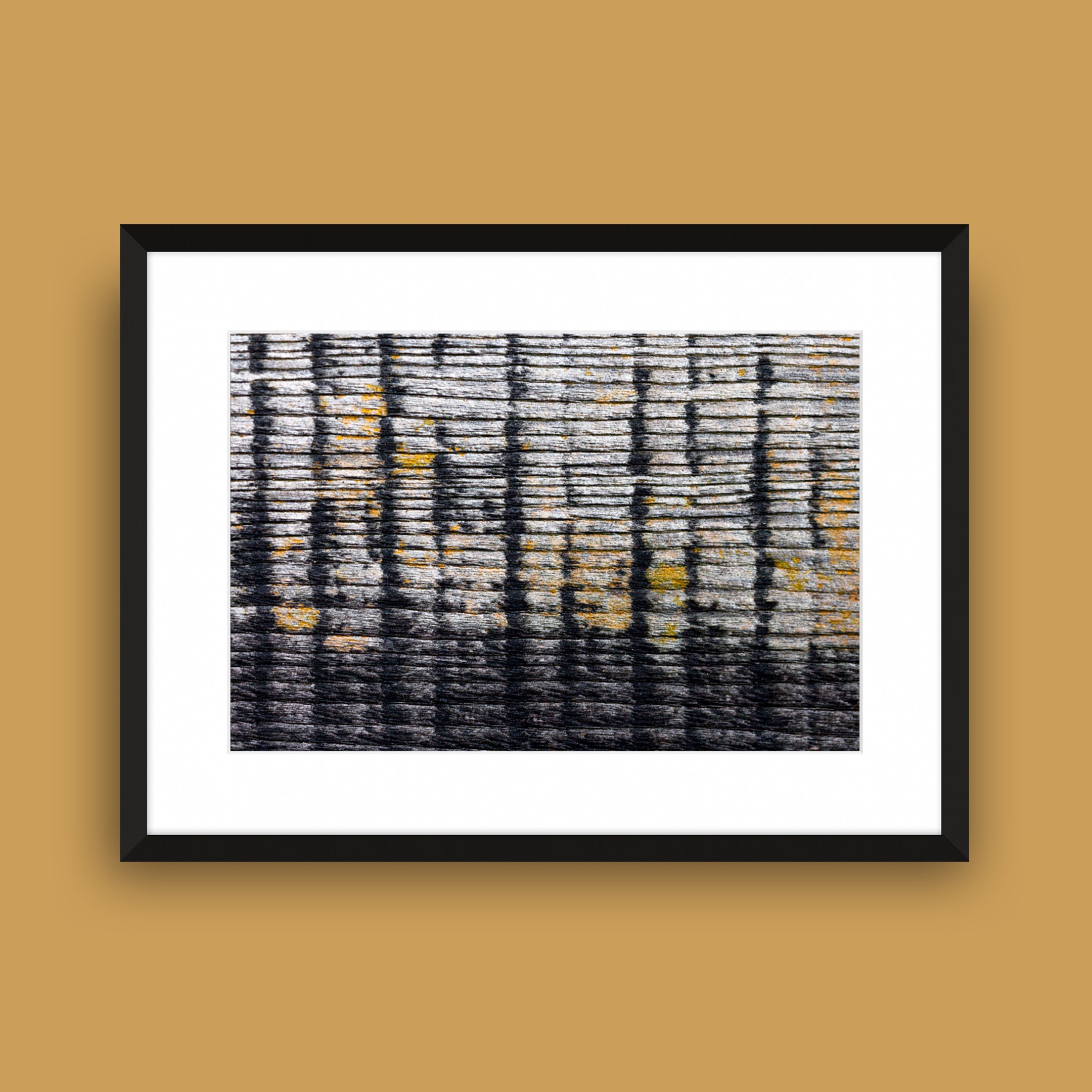 Chloe Hardwick – Treacle Art