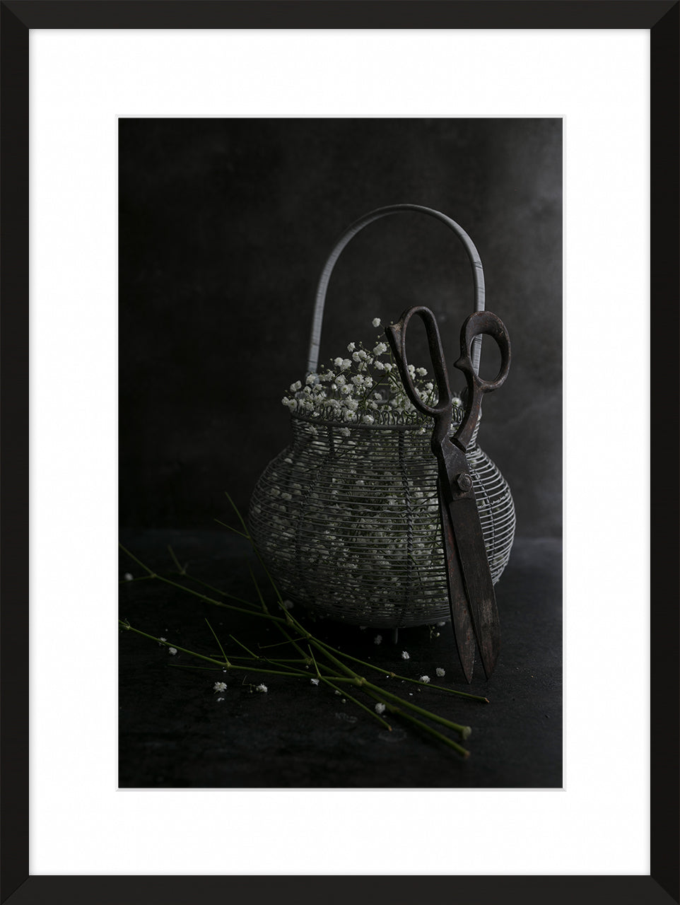 Gypsophila paniculata IV – Treacle Art