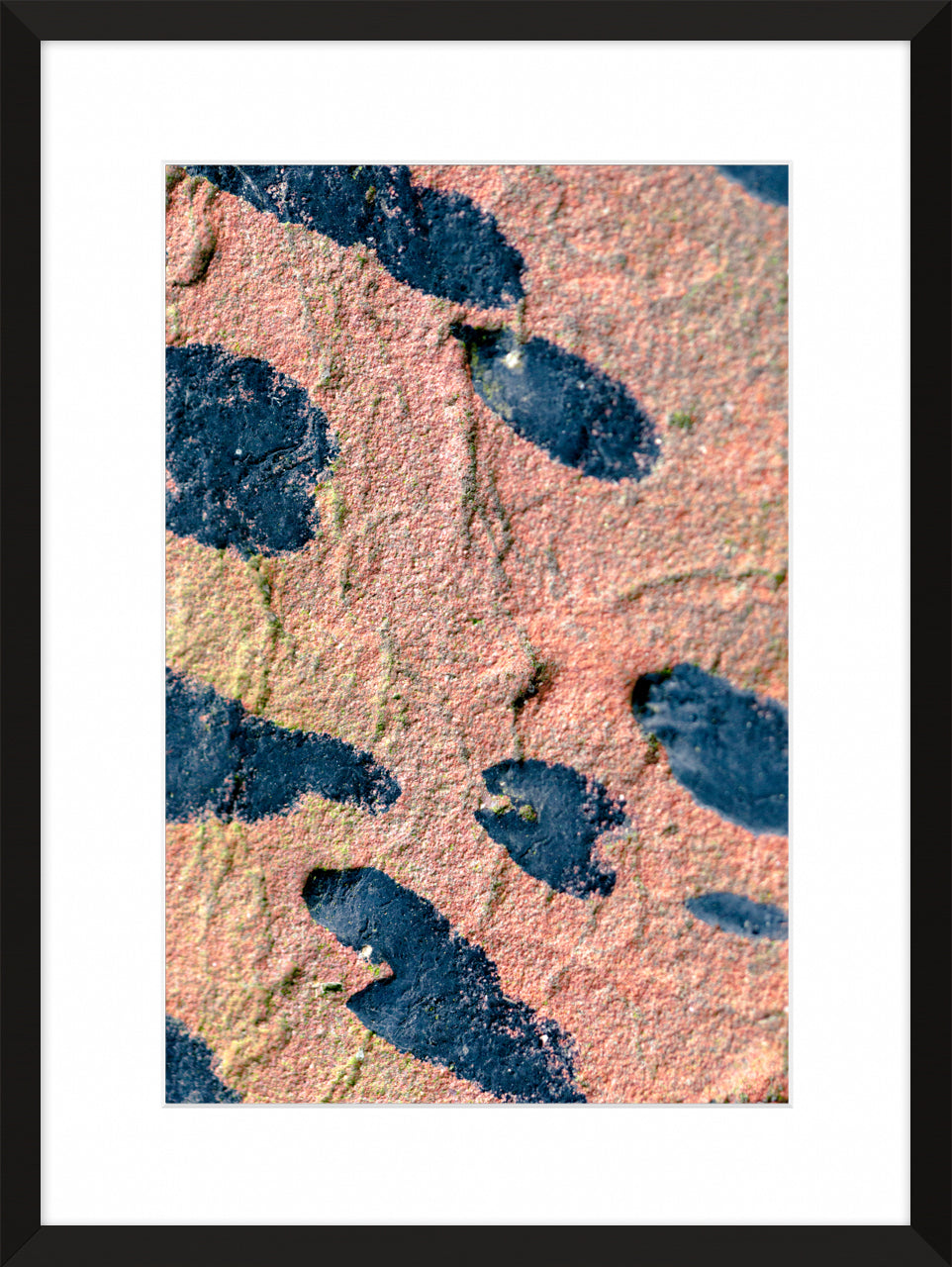 Patina and Decay, Pink IV – Treacle Art