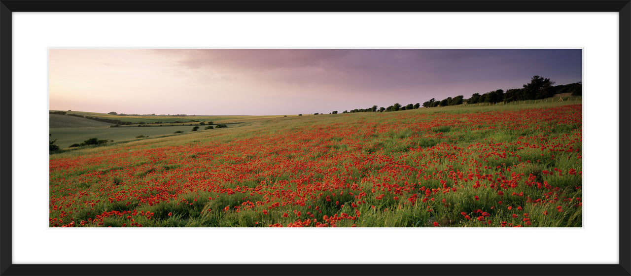 The South Downs I, 2004 – Treacle Art